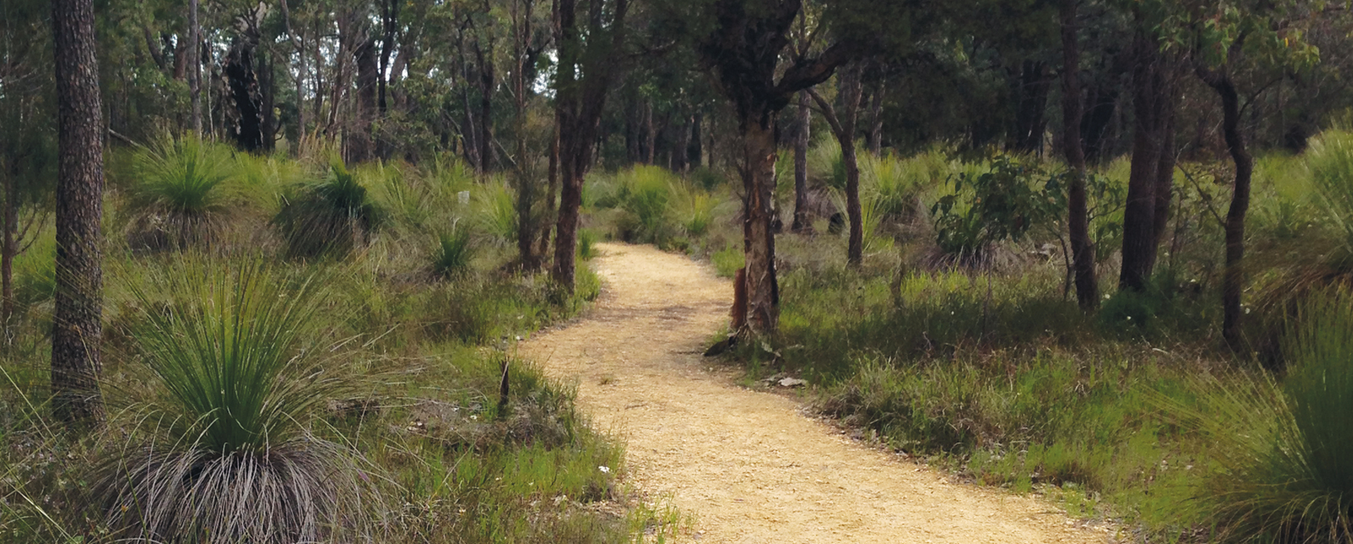 Pinjarra Massacre Site - Bindjareb Park